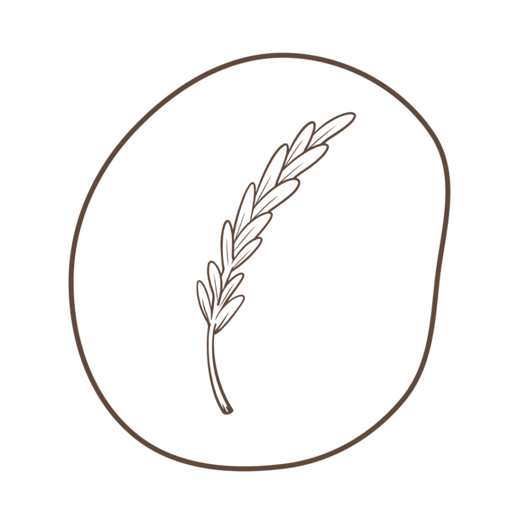 The Deuce Full Body Sugaring Kit - Only Lovable Ingredients